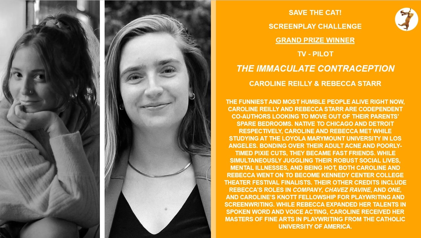 The Challenge 2025 | Save the Cat!®